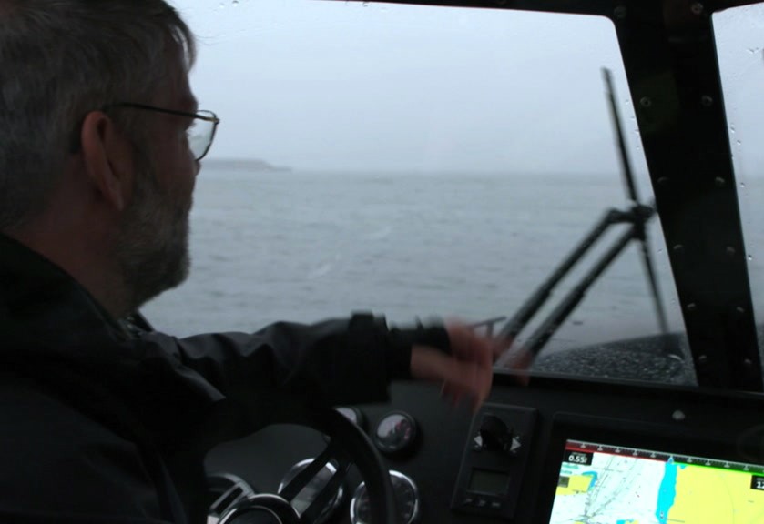 Mótstøðurførar bakteriur funnar í havhestaungum | Kringvarp Føroya