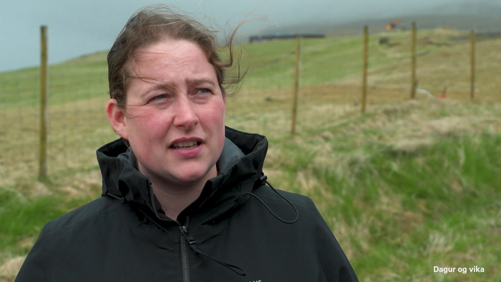 Velta á Strondum | Kringvarp Føroya