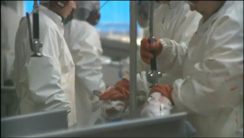 Shortage of fish factory workers | Kringvarp Føroya