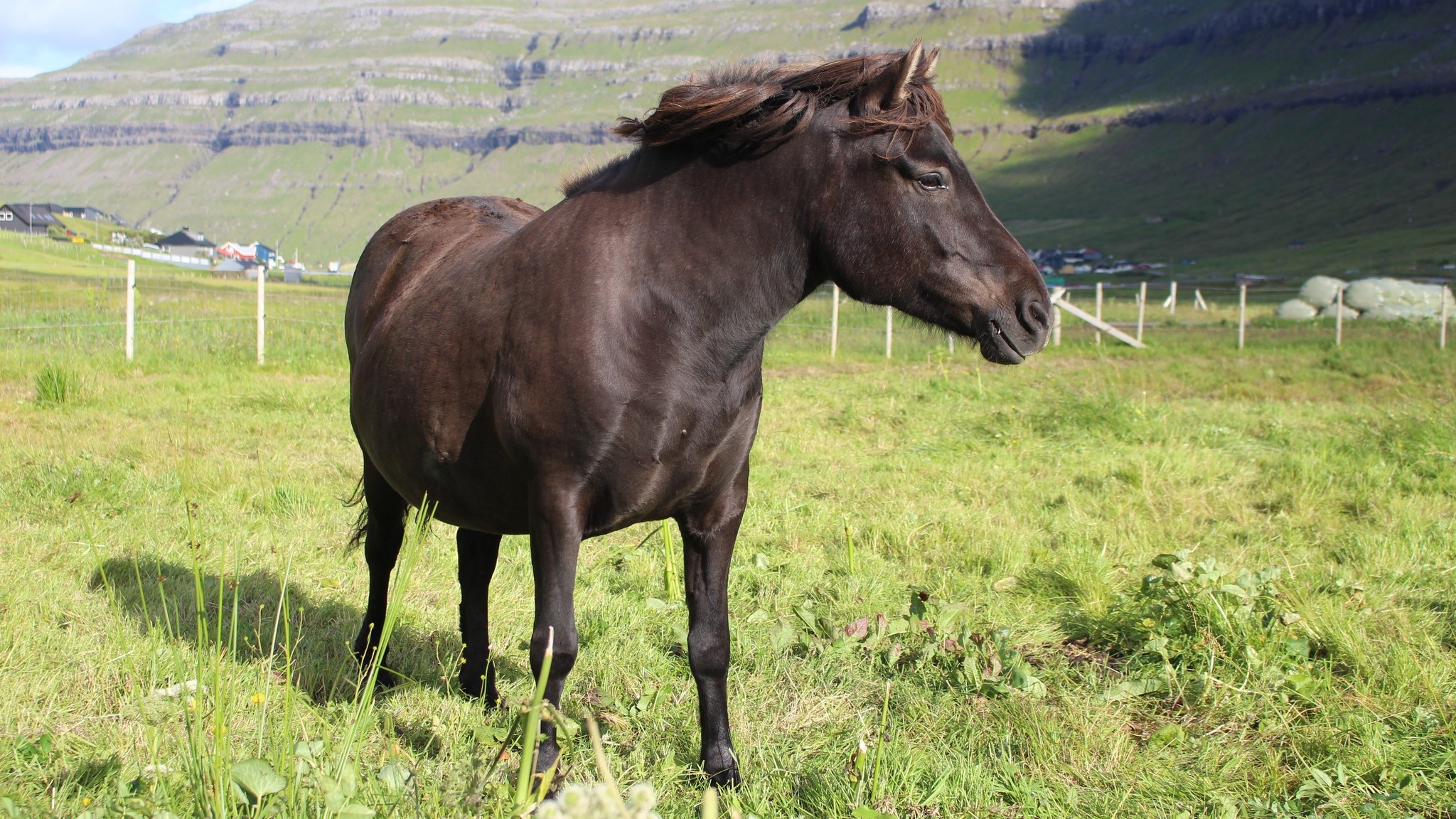 Ger stóran mun | Kringvarp Føroya