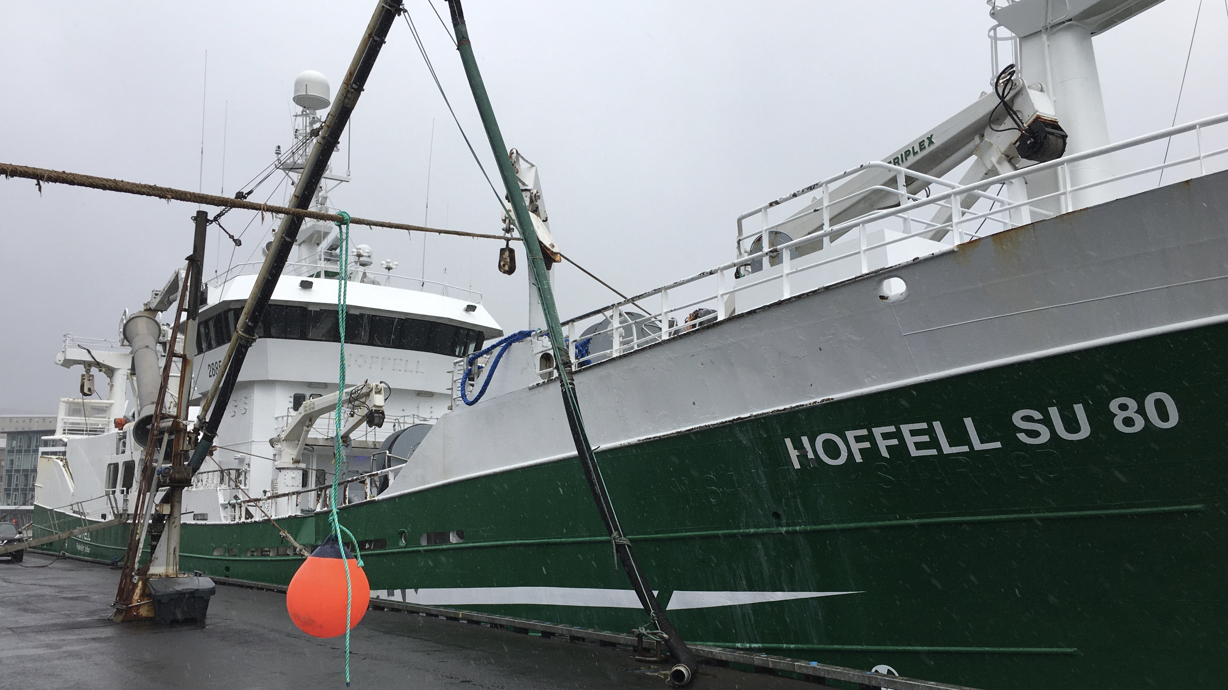 Hoffell avloysir Ango | Kringvarp Føroya