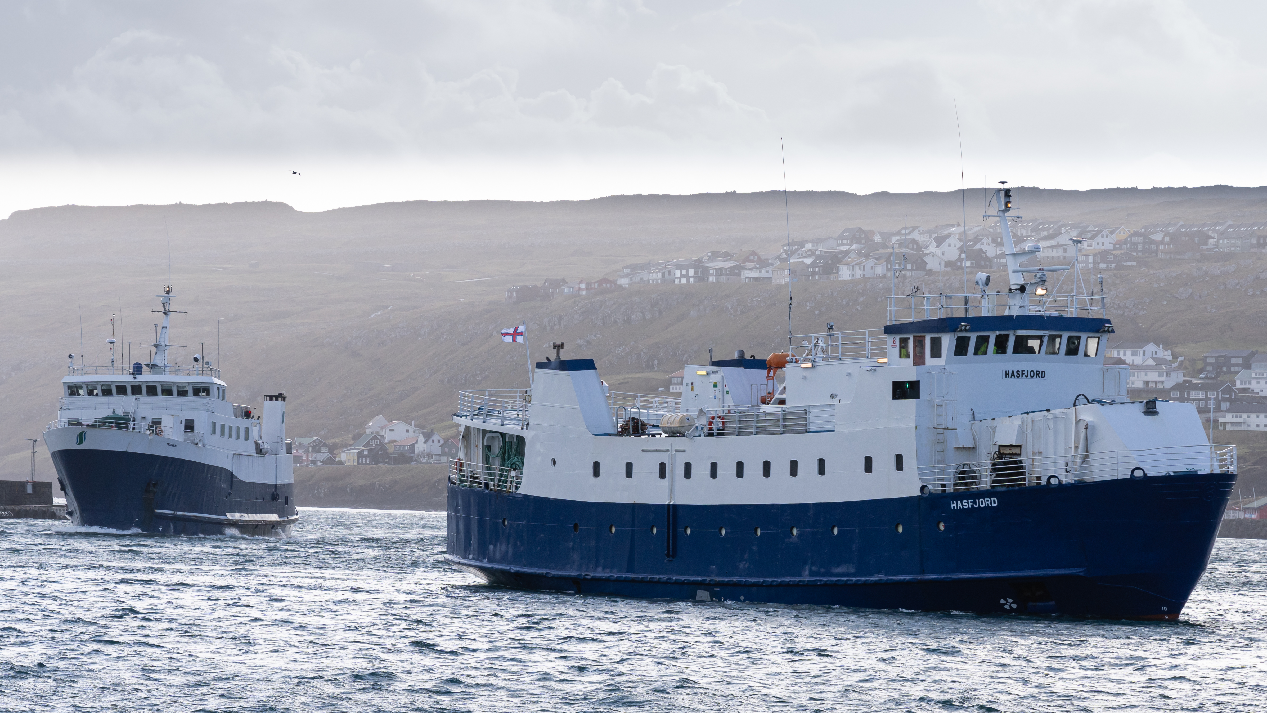 Hasfjord komin á Havnina | Kringvarp Føroya