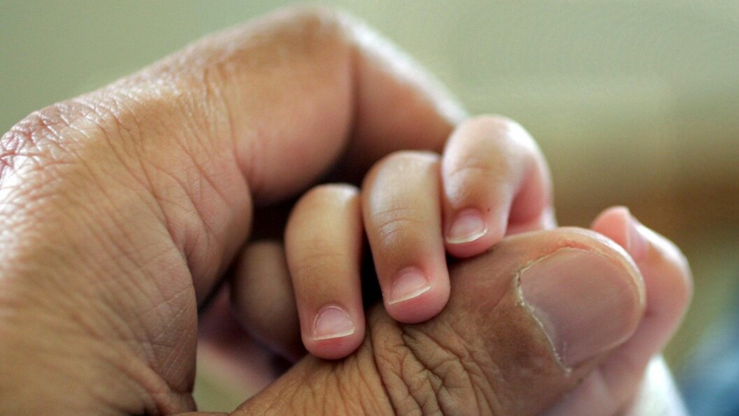 Vit liva longri | Kringvarp Føroya