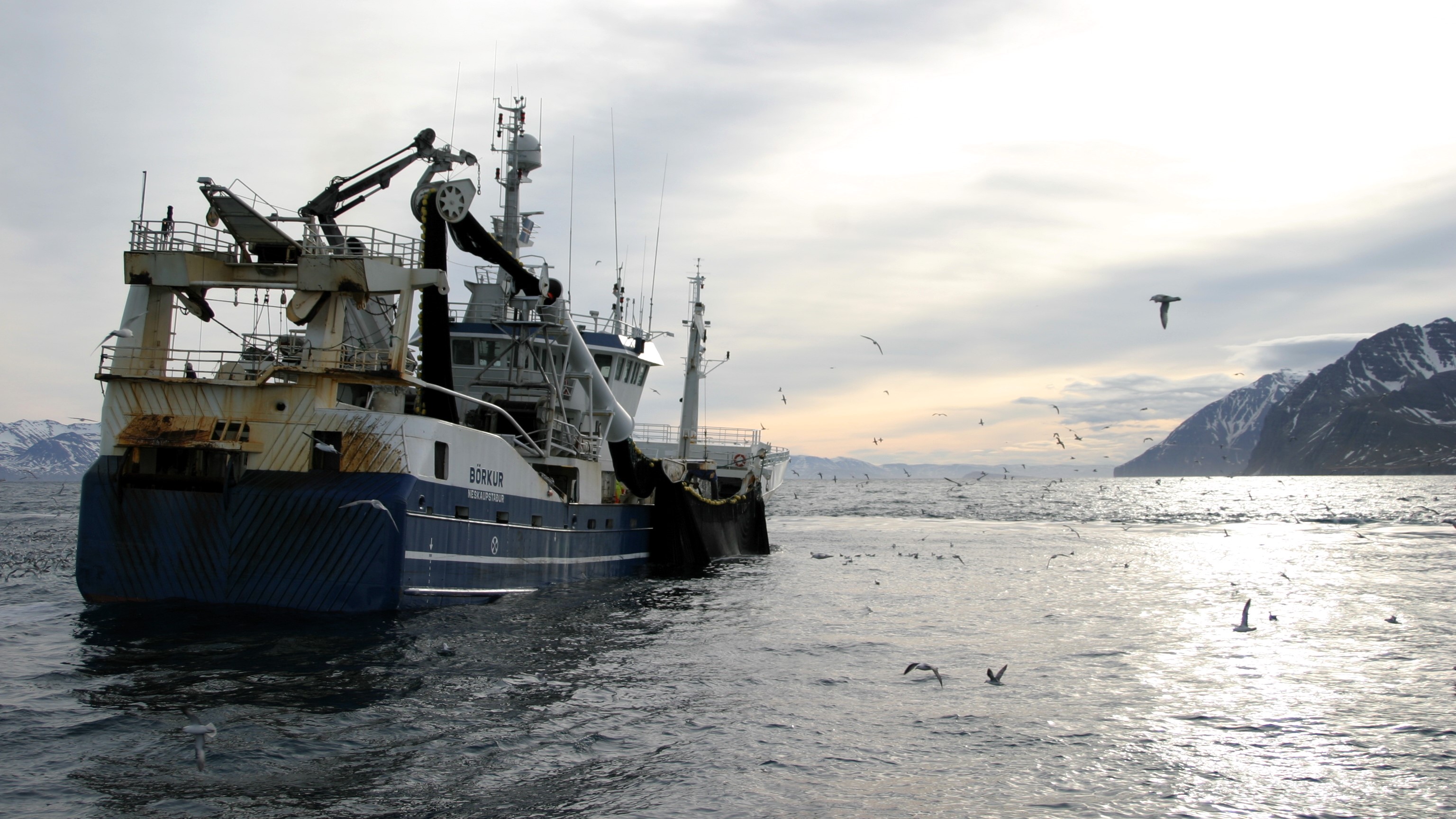 Eingin lodnuveiða í íslendskum sjógvi | Kringvarp Føroya