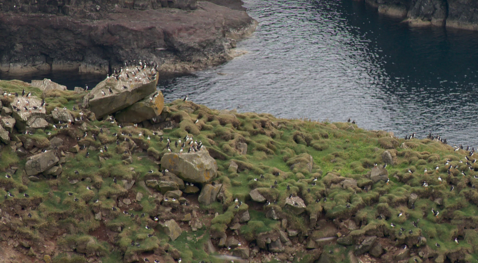 Lundar, lundaland, Mykines | Kringvarp Føroya