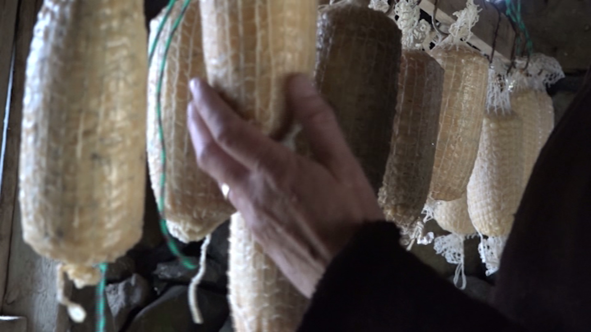 Eitt nýtt ostaslag er borið í heim | Kringvarp Føroya