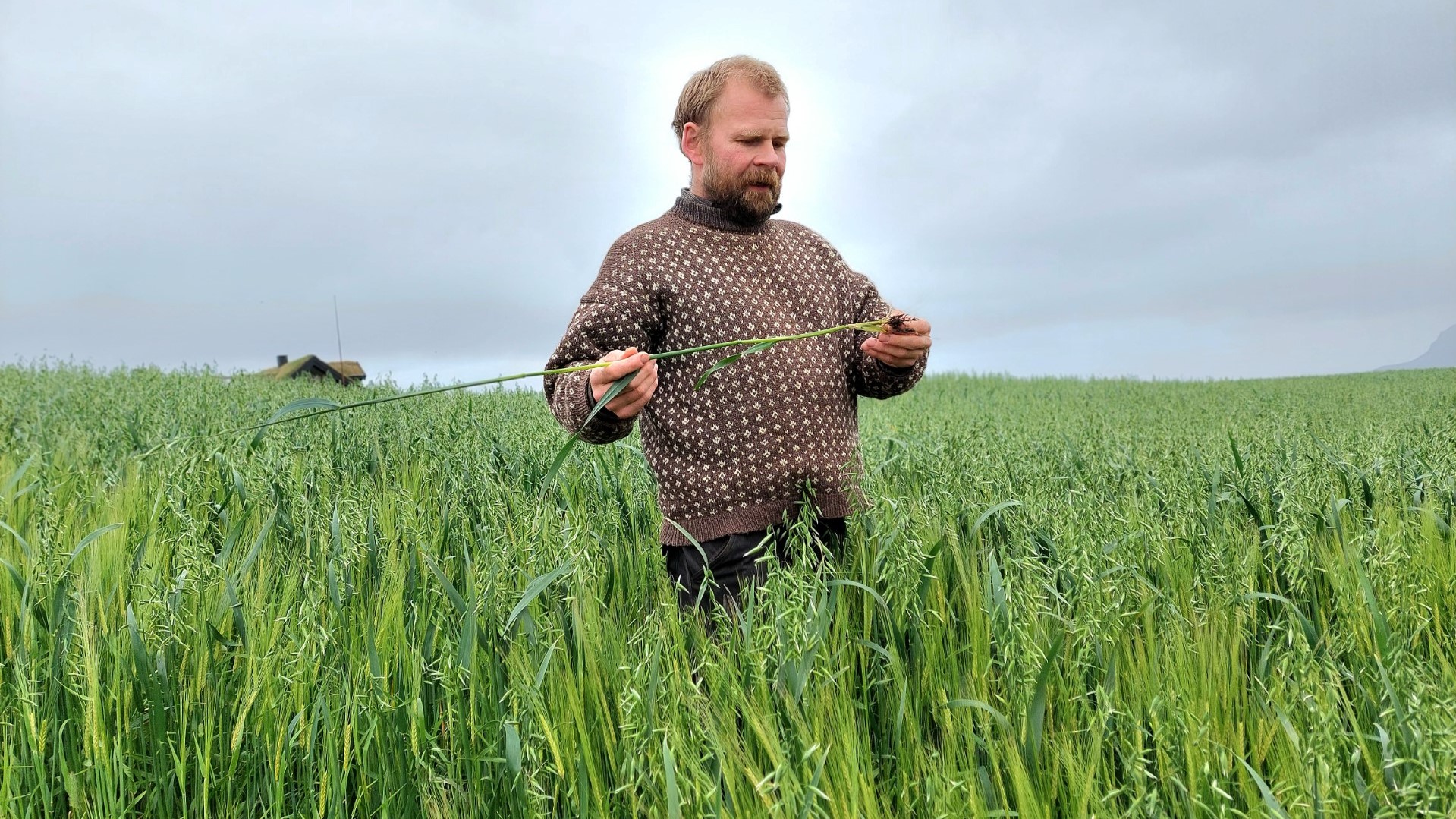 Ein bóndi er altíð ein bóndi | Kringvarp Føroya